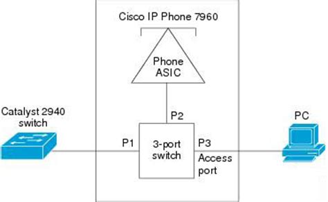ENSDWI Training Switch Questions