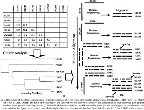 Figure 1 From Protein Sequence Alignment Techniques Semantic Scholar