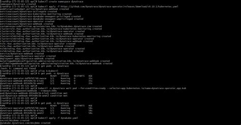 GitHub Tushardashpute Dynatrace EKS Monitoring