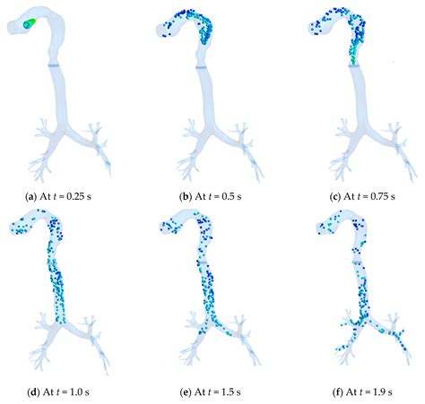 Deposition Of Smoke Particles In Human Airways With Realistic Waveform