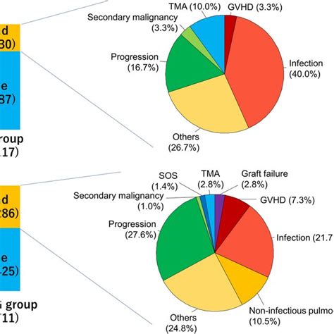 Cause Of Death In The Female To Male Allo Hct Cohort Download Scientific Diagram