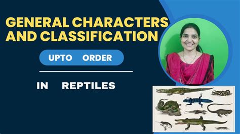 General Characteristics And Classification Up To Order In Reptile Bsc