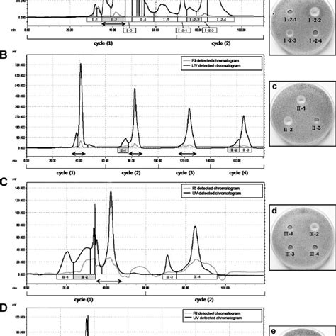 Isolation Of Antifungal Compound By Recycling Preparative Hplc Shown Download Scientific