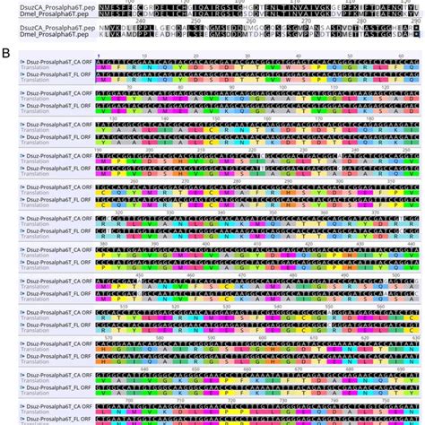 A Clustal Omega Amino Acid Sequence Alignment Of The D Melanogaster
