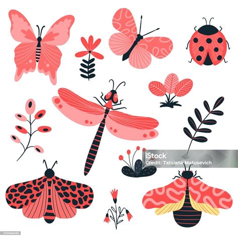 손으로 그린 나비 곤충 및 꽃 나방 날개와 봄 다채로운 비행 곤충과 딱정벌레 흰색 배경의 벡터입니다 개체 그룹에 대한 스톡 벡터 아트 및 기타 이미지 Istock