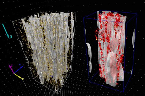 Direct Numerical Simulation Of The Gravitational Settling Of Finite Size Particles In