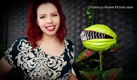 Vore Videos Ludella Little Shop Of Horrors Vore