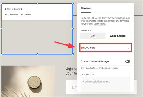 The Best Way To Embed PDF In Squarespace Also Free