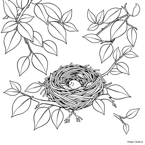 N For Nest Coloring Page