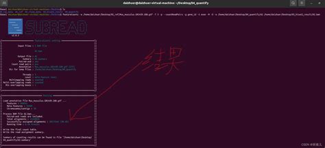 零基础入门转录组上游分析——第五章（表达定量） 基因id和chr csdn博客