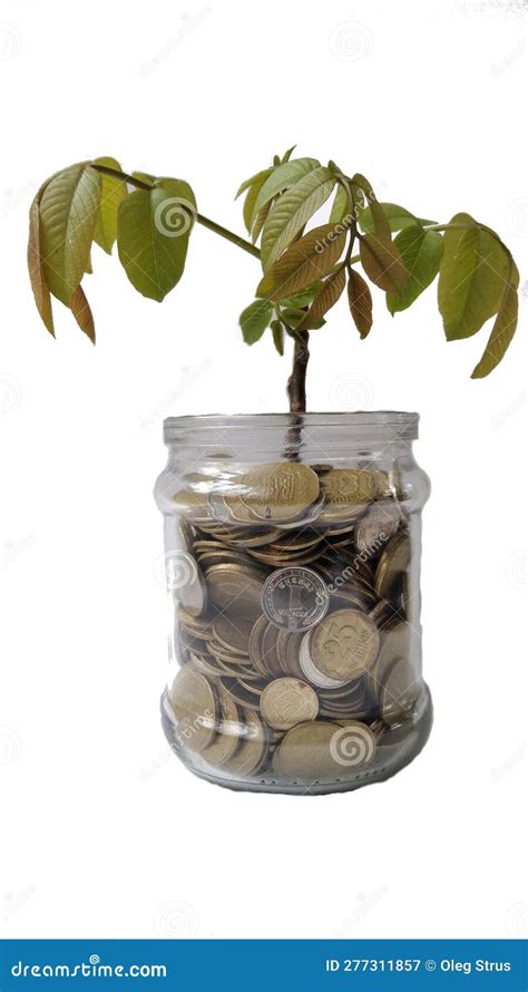 A Bank With Coins Of Different Denominations From Which A Money Tree Grows Isolated Stock
