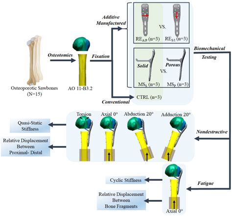 Study Design Workflow The Red Arrows Show The Build Direction In RE Download Scientific