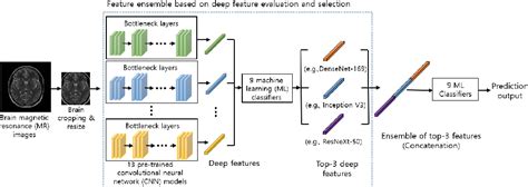 Figure 2 From Mri Based Brain Tumor Classification Using Ensemble Of