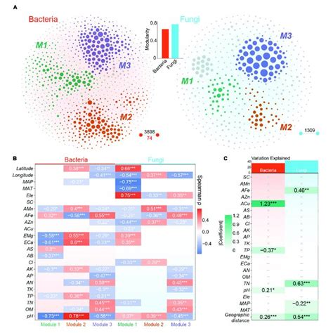 Co Occurrence Patterns Of Bacterial And Fungal Communities A The Download Scientific
