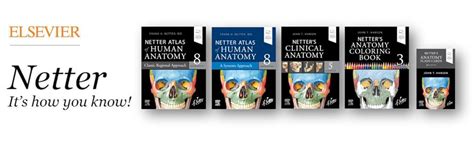Netters Clinical Anatomy Netter Basic Science 9780323826624 Medicine And Health Science Books Netters Clinical Anatomy Netter Basic Science 9780323826624 Medicine And Health Science Books