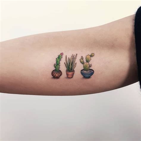 Tatuagem Delicada No Braço Cactos Cactus Tattoo Plant Tattoo Small
