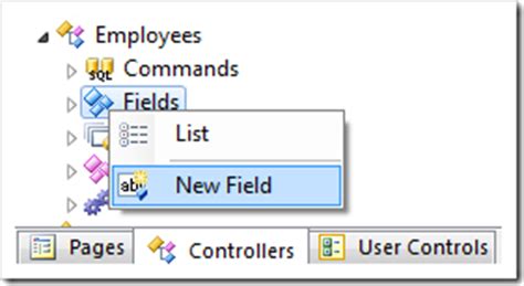 Code On Time Data Controllers Fields Data Format String HTML