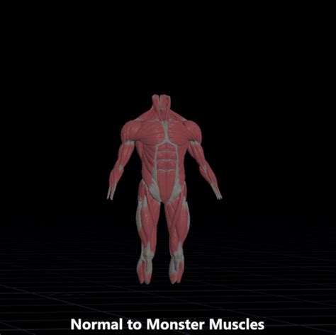 Houdini Muscle Test — Joe Raasch