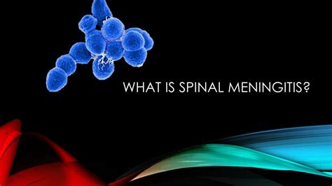 Ppt Spinal Meningitis Powerpoint Presentation Free Download Id2159371