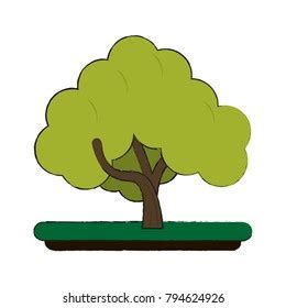 Forest Sktech Stock Photos Images Shutterstock