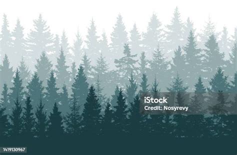 숲 배경 아름다운 풍경 벽지 전나무 나무의 실루엣 벡터 일러스트 레이 션 숲에 대한 스톡 벡터 아트 및 기타 이미지 숲 질감 소나무 침엽수 Istock