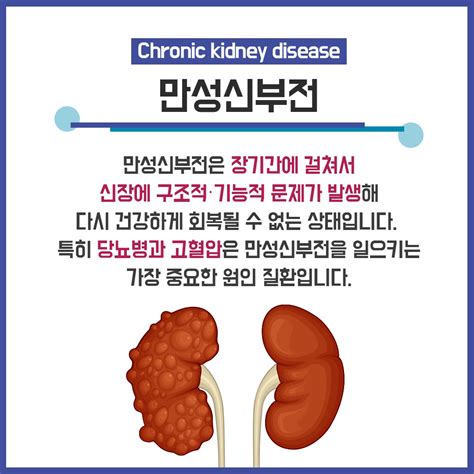 투석‧신장이식 막기 위한 ‘만성신부전의 치료 And 관리