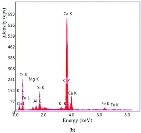 Scanning Electron Microscopy Image A Associated With Edx Analysis B