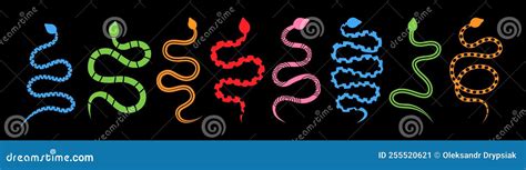 Dangerous Exotic Snakes Pattern Colored Snakes Background Tropical
