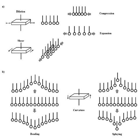 Different Types Of Interactions Occurring Between Colloidal Particles