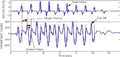 Figure 8 From An Approach For Identifying Gait Events Using Wavelet Denoising Technique And