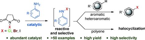 Selective Halogenation Using An Aniline Catalyst Samanta 2015