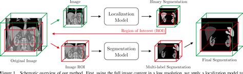 Figure 1 From Efficient Multi Organ Segmentation Using