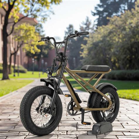 Best Selling Unfoldable E Bike Model For Teens And Adults