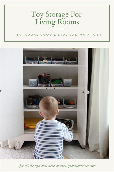 Small Living Room Toy Storage Ideas Baci Living Room
