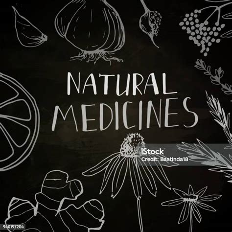 허브와 약용 식물 컬렉션 벡터 손으로 화이트에 고립 된 개체를 그린 0명에 대한 스톡 벡터 아트 및 기타 이미지 0명 대체 의학 로즈마리 Istock