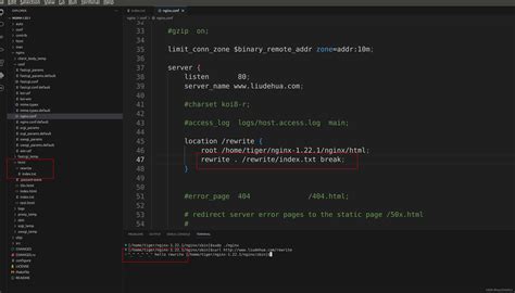 nginx系列第八篇：ubuntu下验证nginx各请求处理阶段 zero size shared memory zone addr csdn博客
