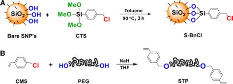 Synthesis Of A S Bncl And B Stp Download Scientific Diagram