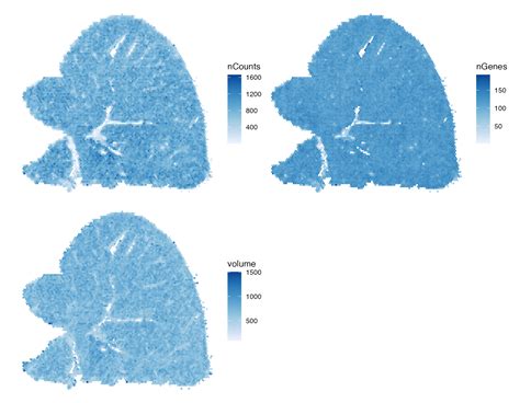 MERFISH Mouse Liver Dataset And Considerations Of Large Data Voyager