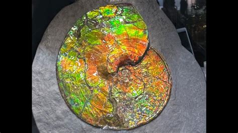 What Causes The Rainbow Shimmer Of Ammolite Gems