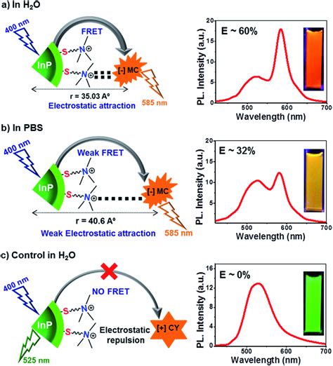 Electrostatically Driven Resonance Energy Transfer In [ ] Inp Zns Qds