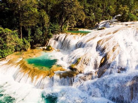 Palenque Ruins Agua Azul Waterfalls And More Things To Do In Palenque