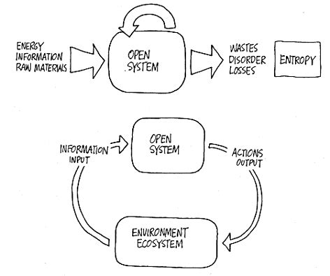 Open And Closed System Energy Venn Diagram An Open Versus Cl