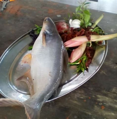Bukit Gading Aquaculture And Resources