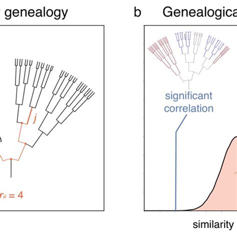 Lineage Tree Analysis A Cellular Genealogies Also Denoted As Cell Download Scientific
