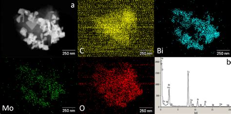 A STEM Image And EDX Mapping Images Which Show Homogeneous Download Scientific Diagram