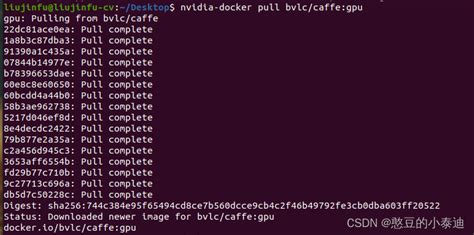 Docker笔记 Ubuntu2004基于docker安装caffe Gpuubuntu Docker容器 Gpu Csdn博客