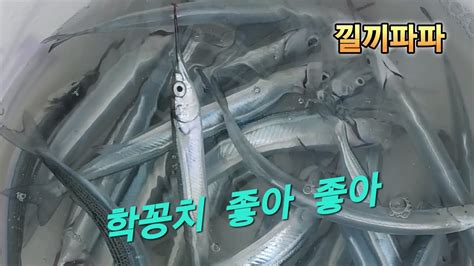 오늘의 목표 ㅡ학꽁치 투망 너 로 정했다 짬투망주말오전서해바다 Youtube
