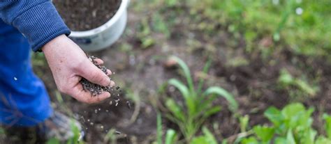 Bio Force Additives Instral