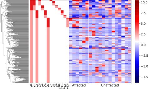 A Dendrogram Heatmap Showing Log Abundance Of Features In The Tamarin Download Scientific