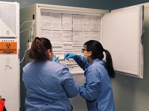 Specimen Collection And Human Specimen Processing Laboratory Services